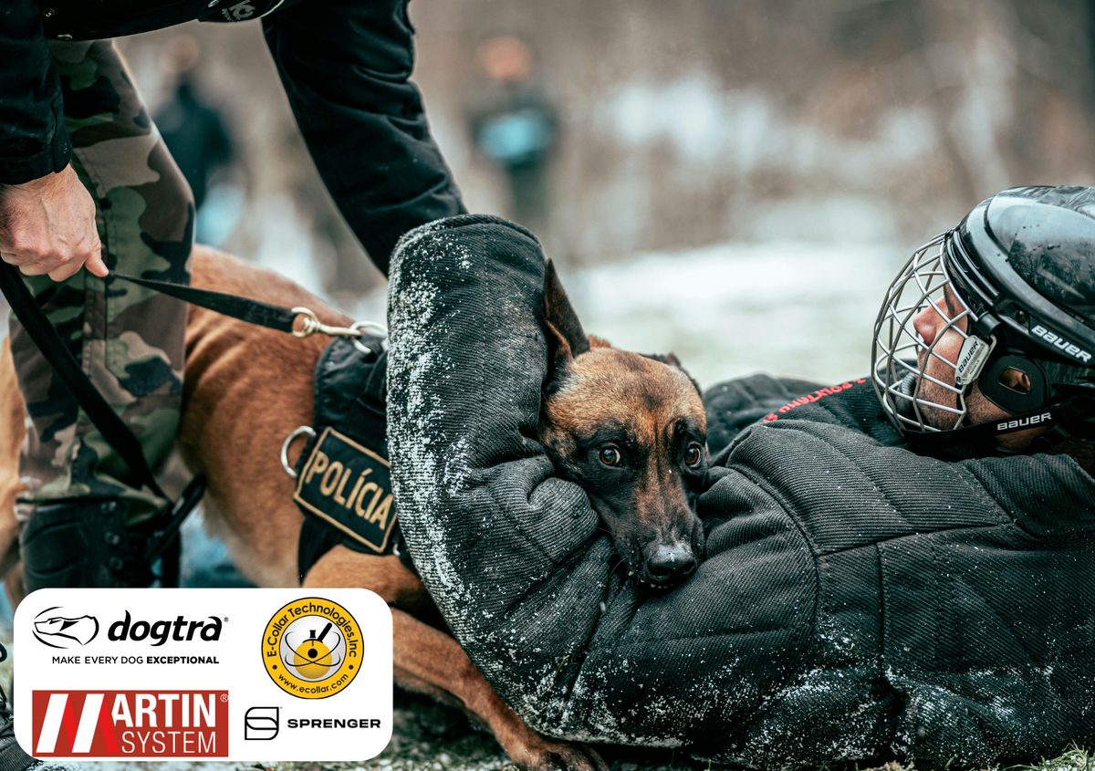 Working Dog Equipment – K9 Corner