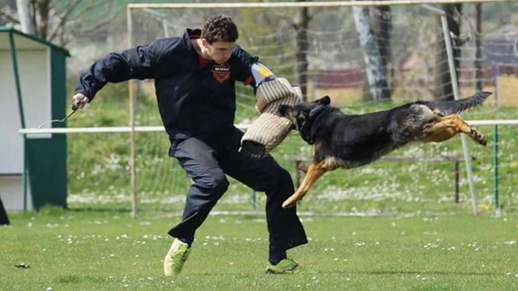 Working Dog Training Equipment – K9 Corner UK – K9 Corner