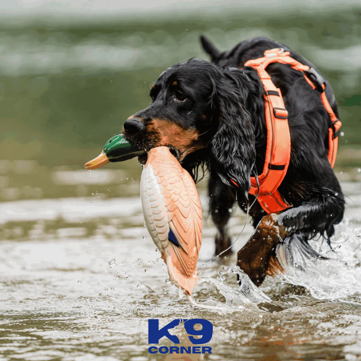 Retrieval Dummy - Duck – K9 Corner